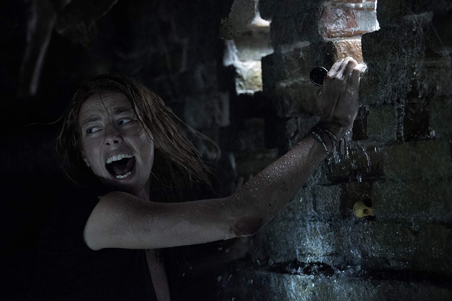 Crawl review - a decent killer gator movie - Outtake Magazine